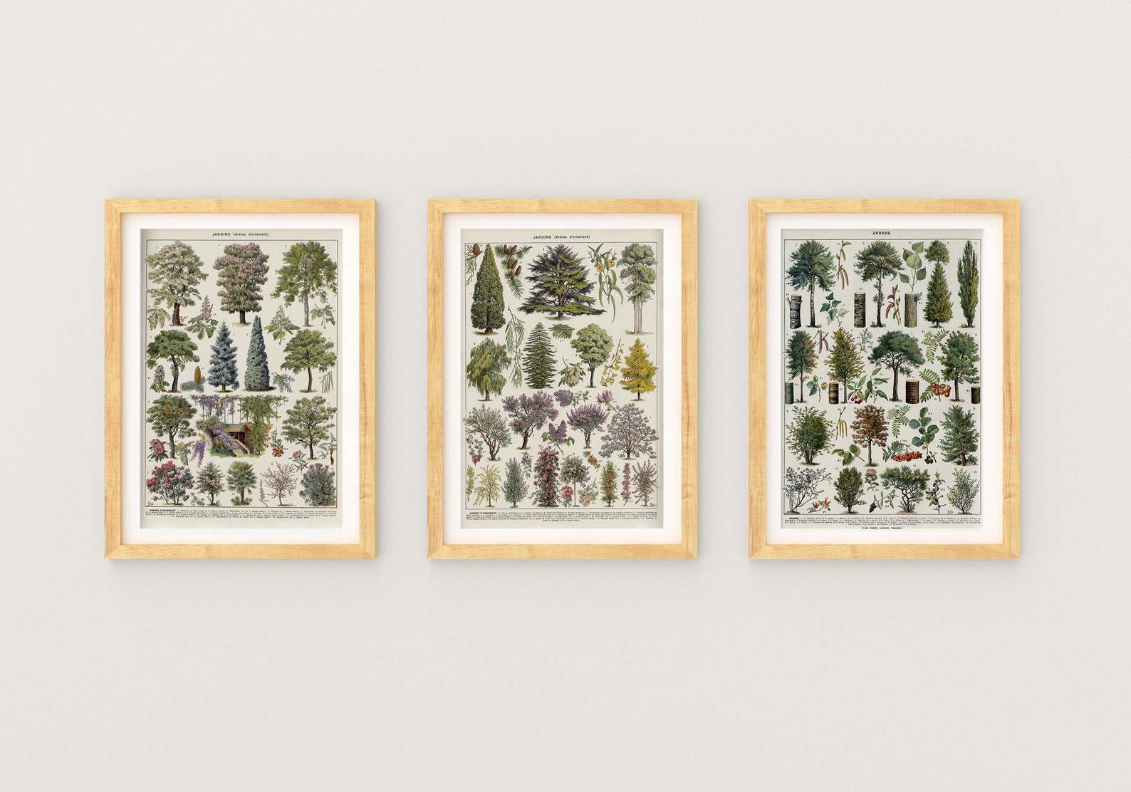 Forest Wall Art, Wall Tree Poster, Tree Set of 3 Prints, Tree Species ...