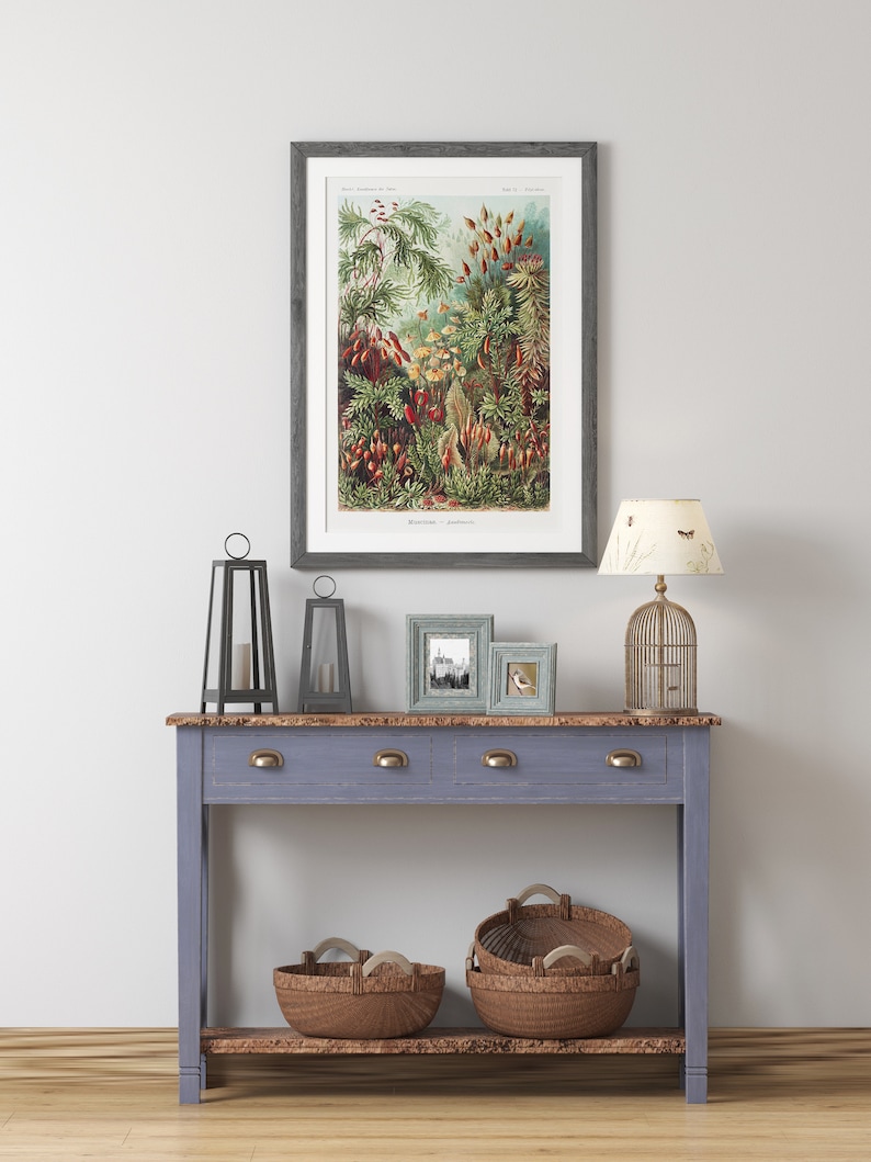 Exotic Jungle Poster With Mosses Print Exotic Forest Poster - Etsy