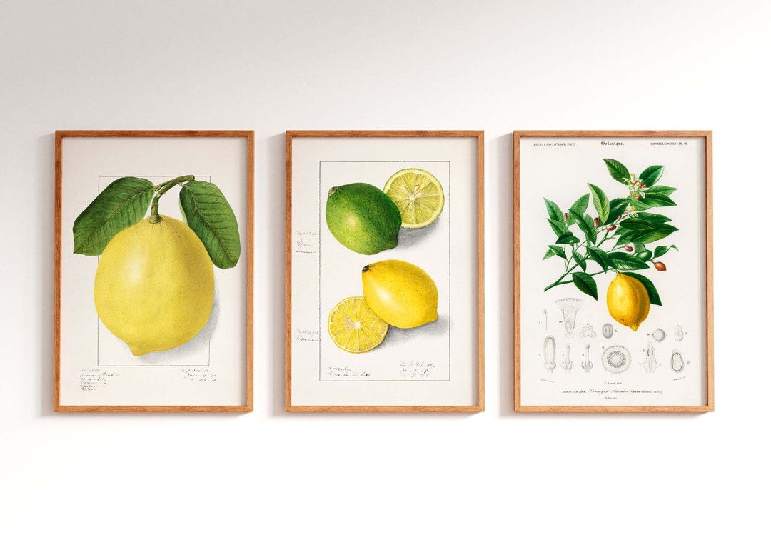 Lemon Poster, Lemon Wall Art, Lemon Art, Kitchen Poster, Fruits Poster ...