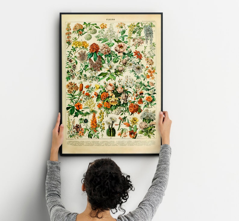 Botanical Poster Set of 3 Flowers Botanical Prints Wildflower - Etsy