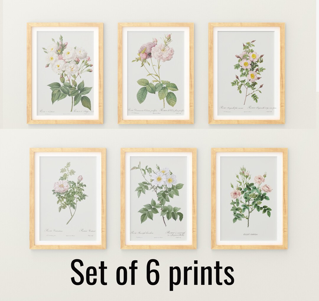 Botanical Poster Set of 6 Flowers, Roses Botanical Prints, Floral Wall ...