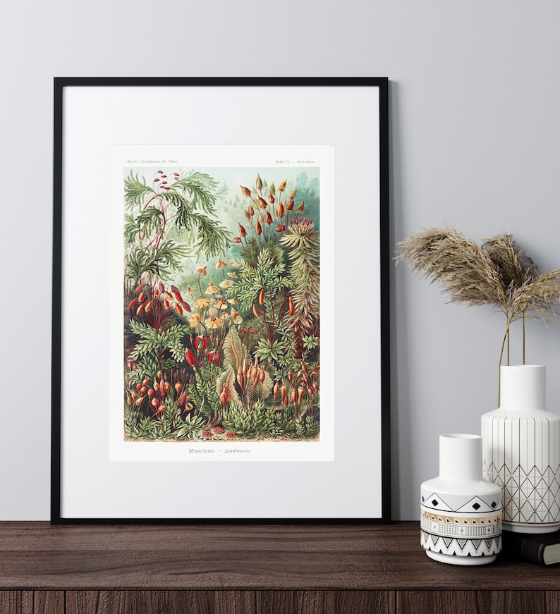 Exotic Jungle Poster With Mosses Print Exotic Forest Poster - Etsy