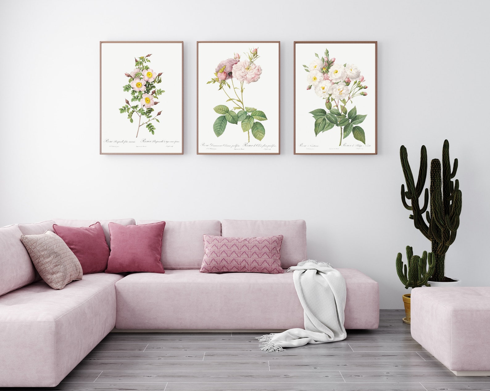 Botanical Poster Set of 3 Flowers Botanical Prints | Etsy