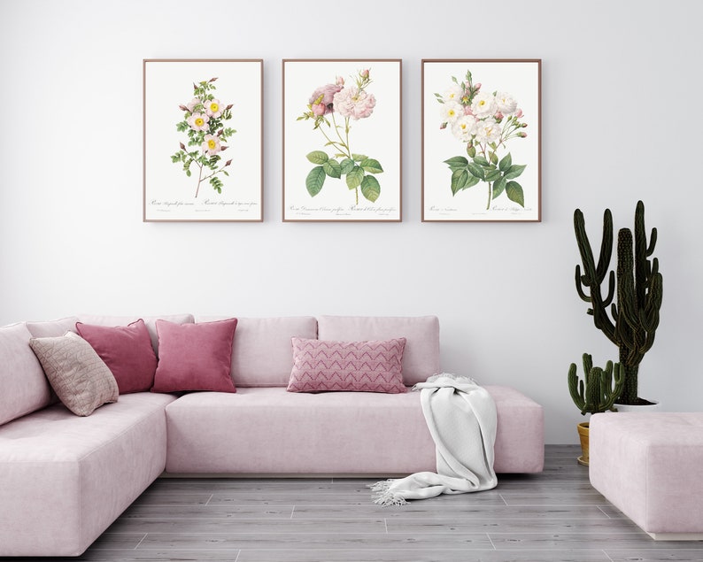 Botanical Poster Set of 3 Flowers Botanical Prints | Etsy