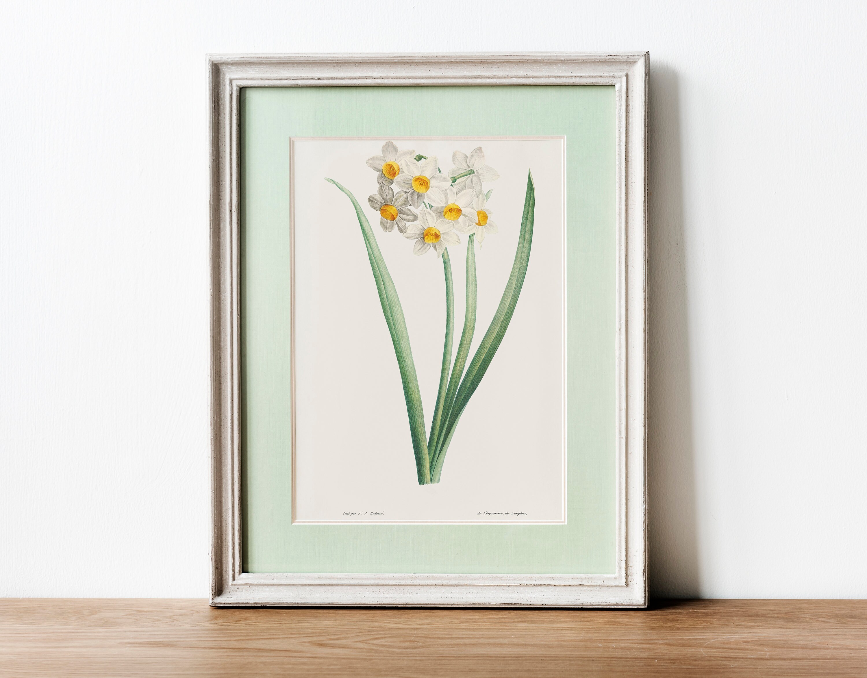 Flowery Decor Spring Flower Print Botanical Art Print - Etsy