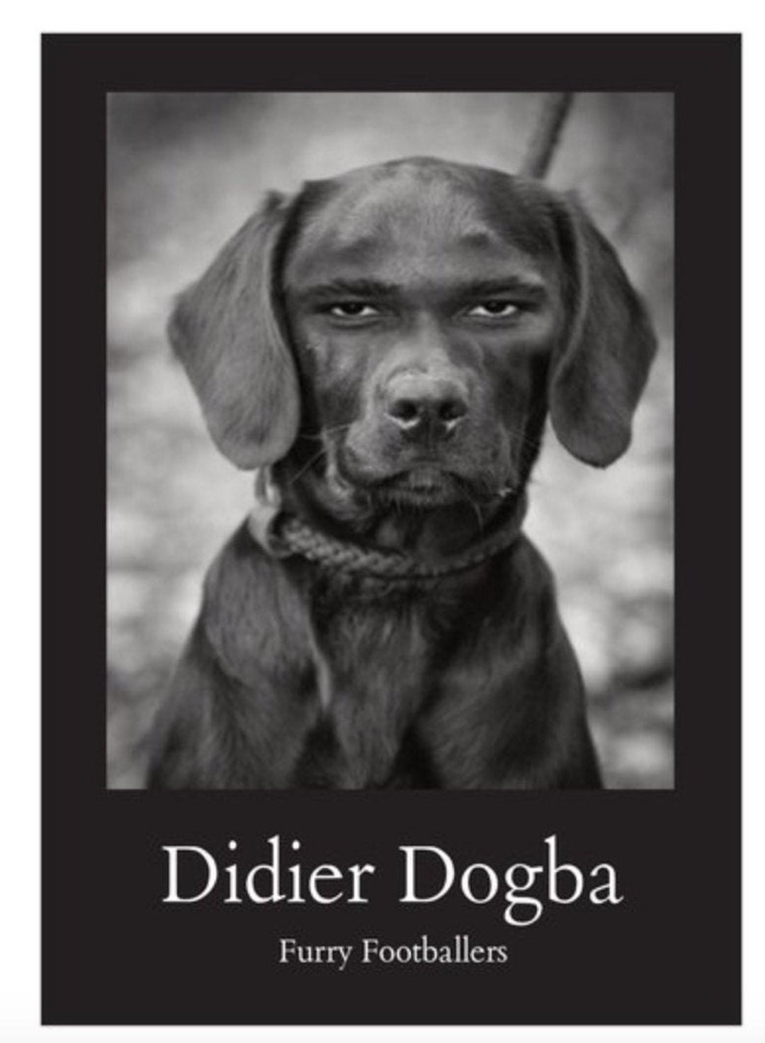 Didier Dogba A2 Poster - Etsy