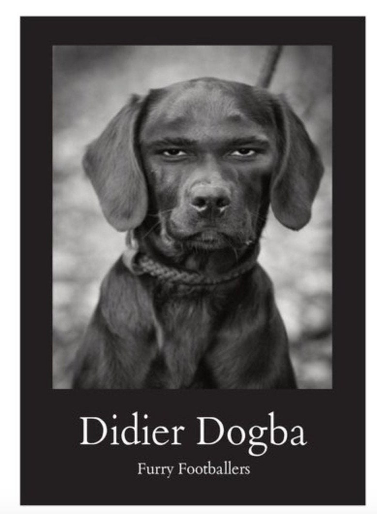 Didier Dogba A2 Poster - Etsy