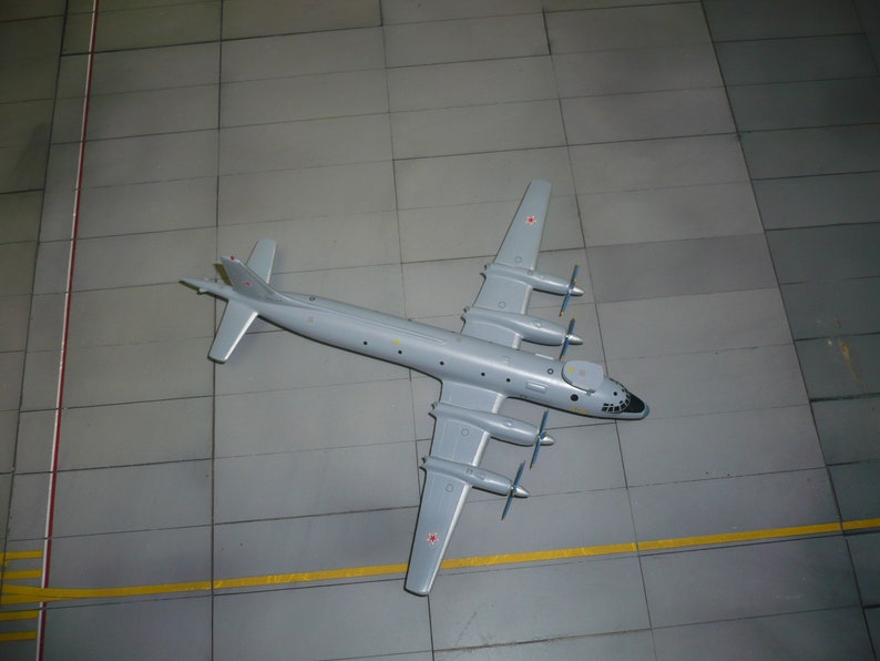 Resin Model of Il-18 Family 1-200 Scale. Any Livery. Any Type - Etsy