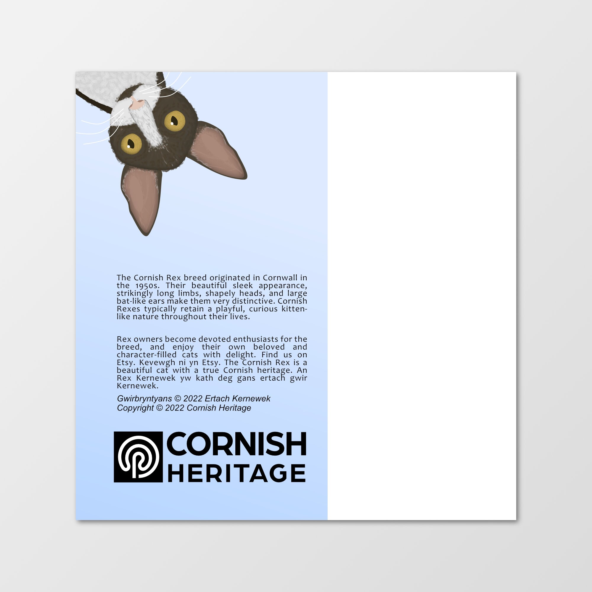 Cat Card, Cornish Rex Card, Cat Birthday Card, Blank Cat Card. Cornish ...