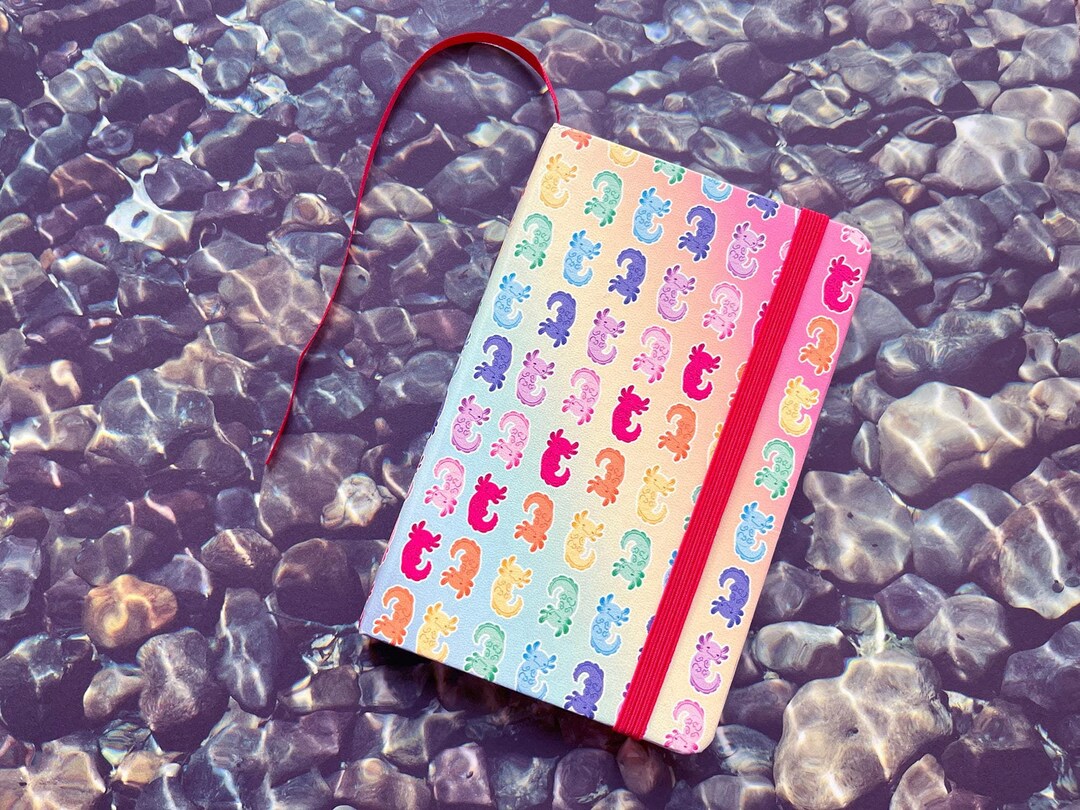 A6 Sized Rainbow Axolotl Dot Grid Notebook - Etsy
