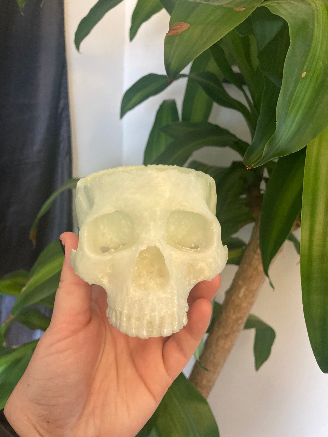 Glow in the Dark Skull Planter/3d Printed Skull Dish - Etsy