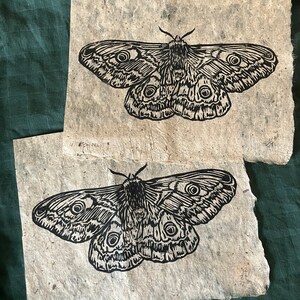 Empress Moth Block Print, Open First-edition Original Unframed, Signed ...