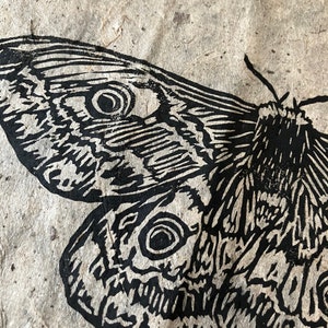 Empress Moth Block Print, Open First-edition Original Unframed, Signed ...