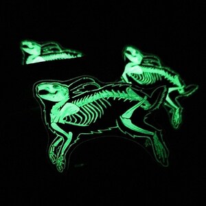 NEW Glow in the Dark Rabbit Skeleton Vinyl Waterproof Sticker for Water ...