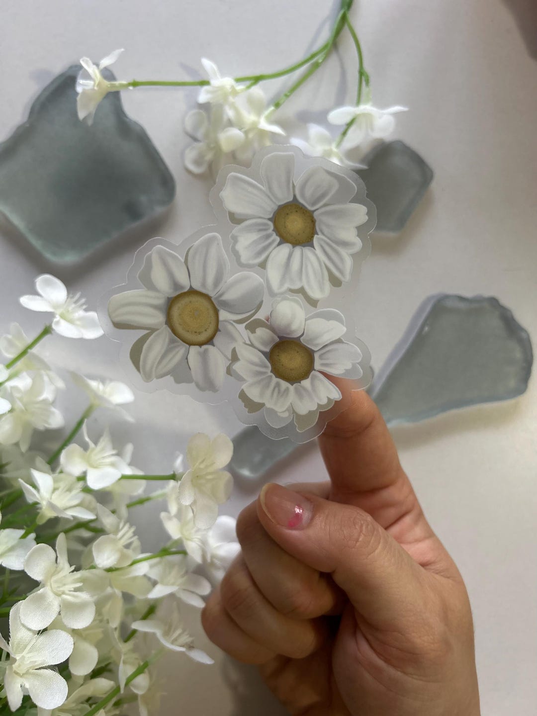 Clear Daisies Sticker transparent - Etsy