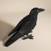 Raven Papercraft Raven Diy Paper Statue Crow 3D Low Poly - Etsy Canada
