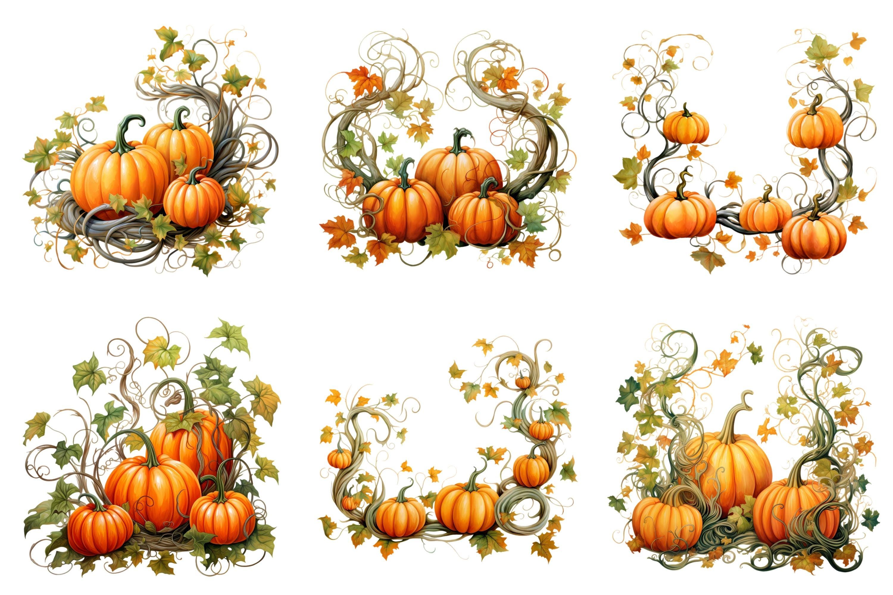 Autumn Pumpkin Vine Png,autumn Pumpkin Design,fall Harvest Png ...