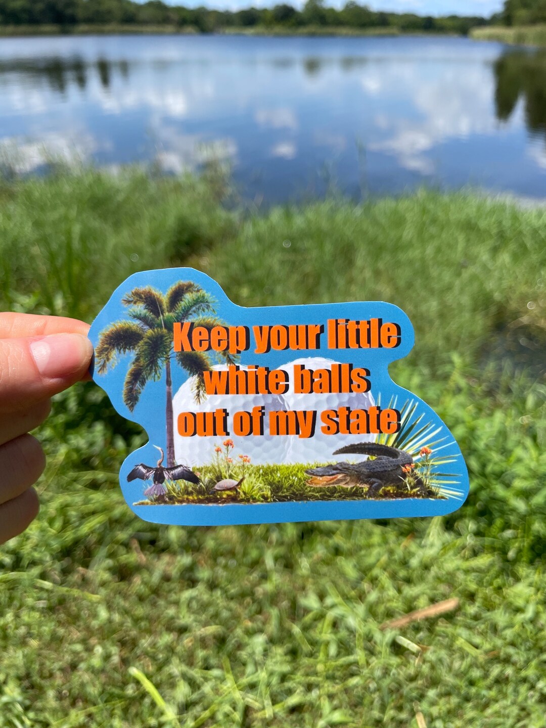 Protect Florida Sticker - Etsy