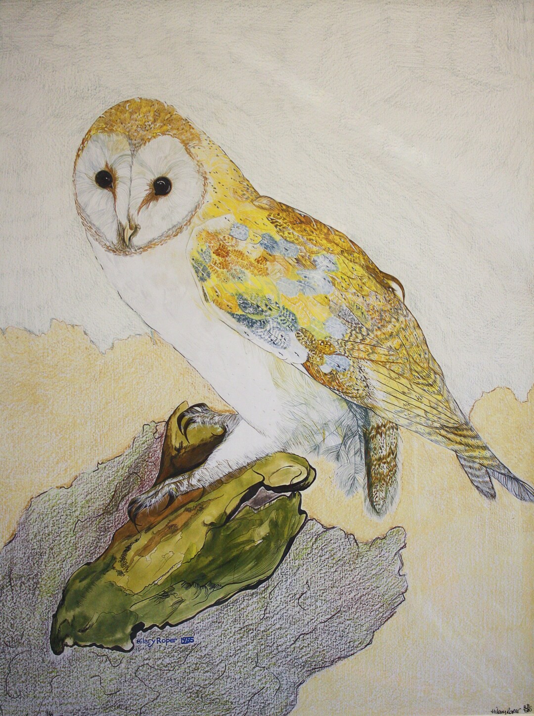 Barn Owl - Limited Edition Print - Etsy