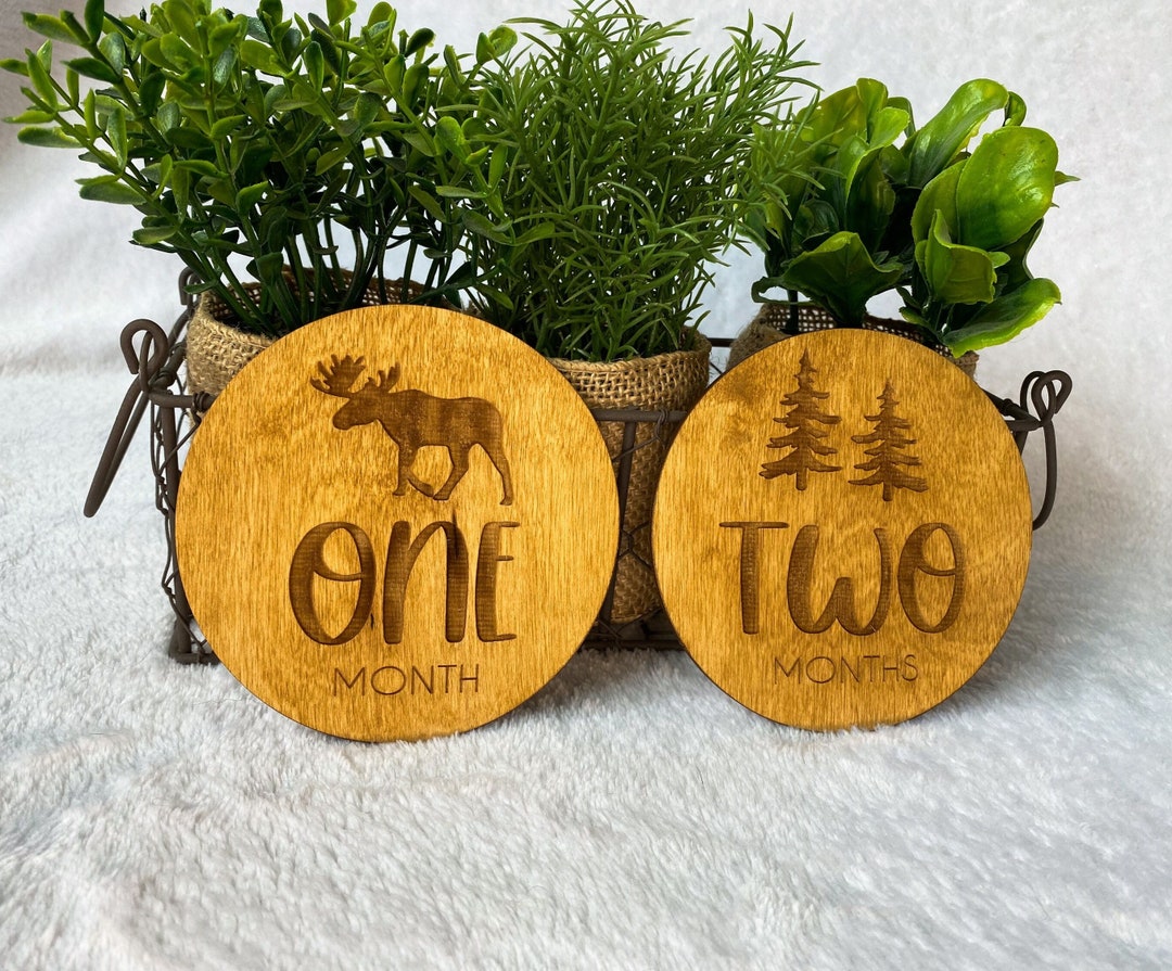 Adventure Monthly Milestone Markers, Outdoor Baby Photo Prop, Baby ...