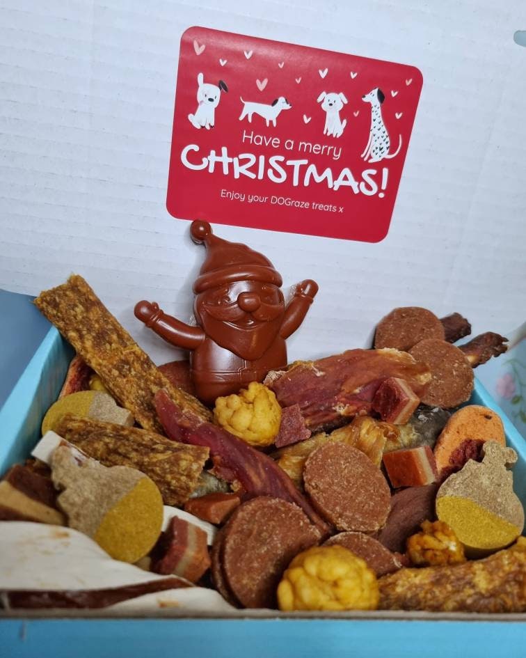 Dog Treat Box MEATY Specialty Gourmet Treats Birthday - Etsy UK