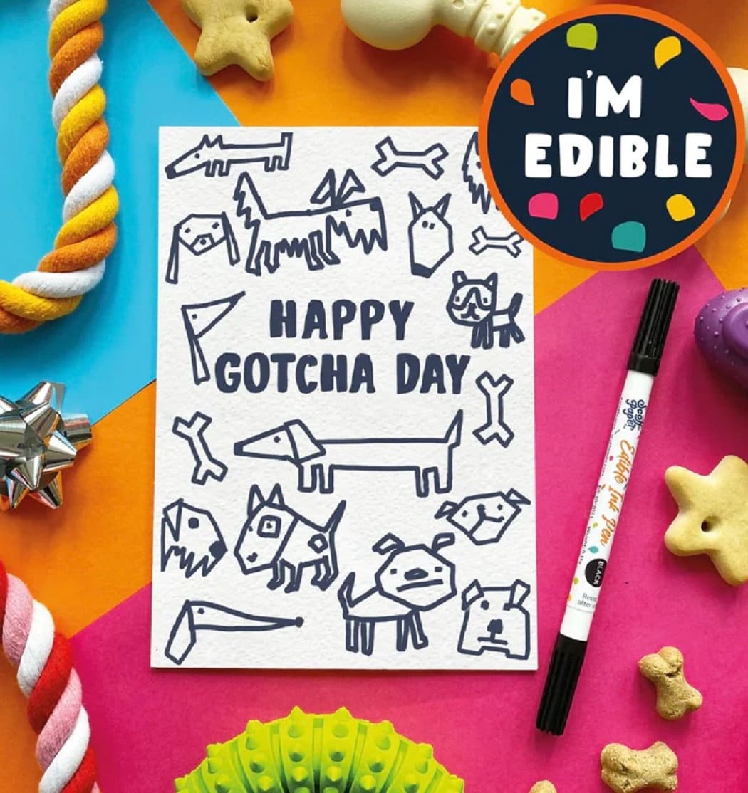 HALLOWEEN DOG GIFT Dog Birthday, Gotcha Day, Dog Birthday Card, Vegan ...