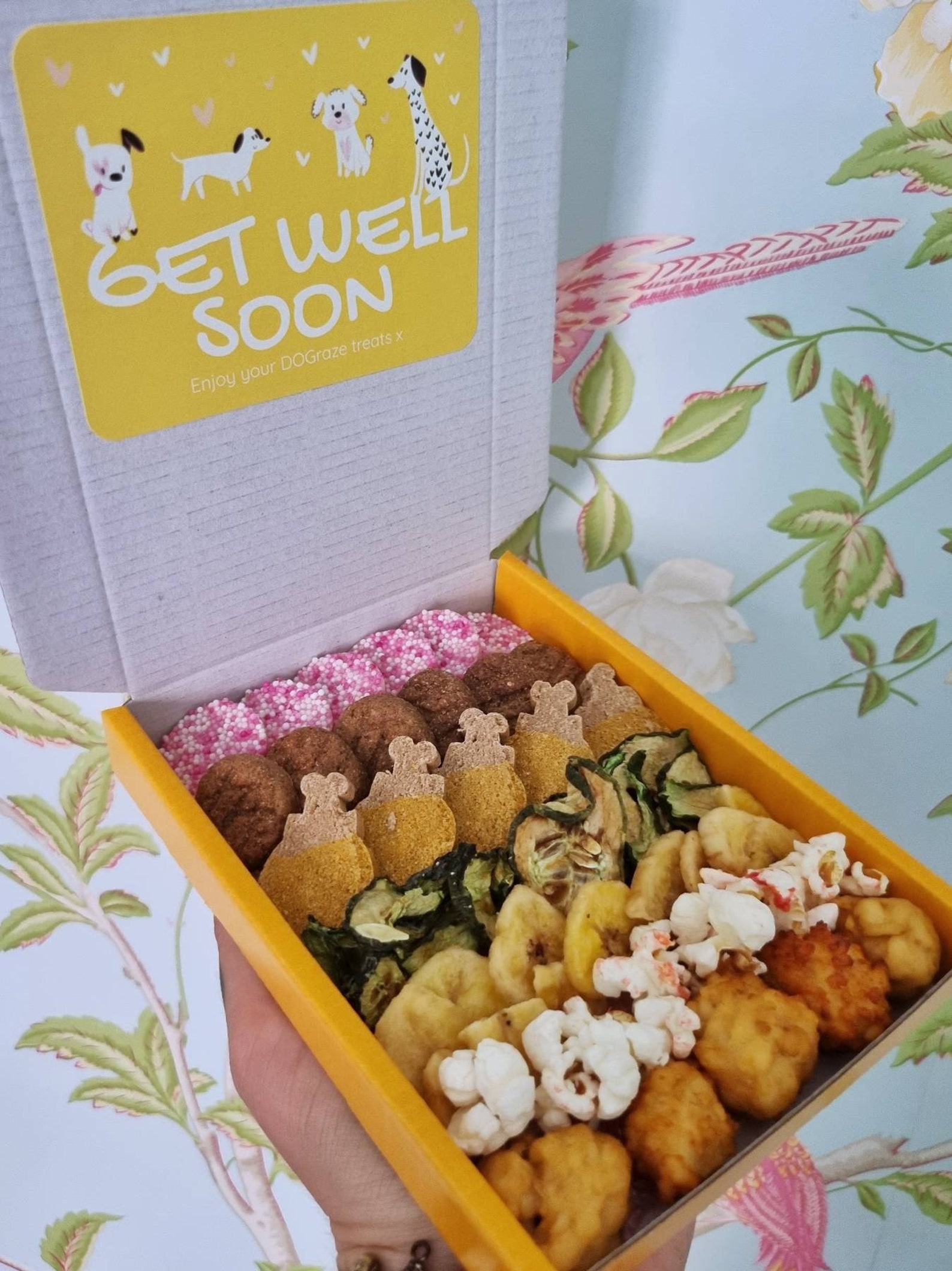 Gotcha Day Dog Treat Box Personalised Letterbox Gift Birthday Get Well ...
