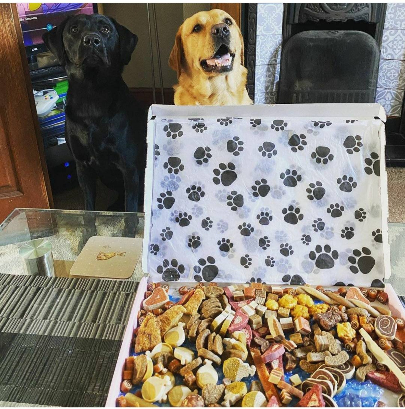 Dog Treat Box MEATY Specialty Gourmet Treats Birthday - Etsy UK
