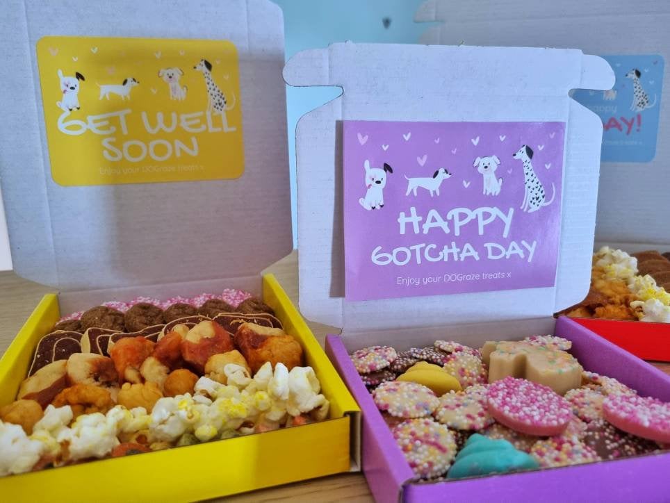 Gotcha Day Dog Treat Box - Personalised Letterbox Gift - Birthday Get ...
