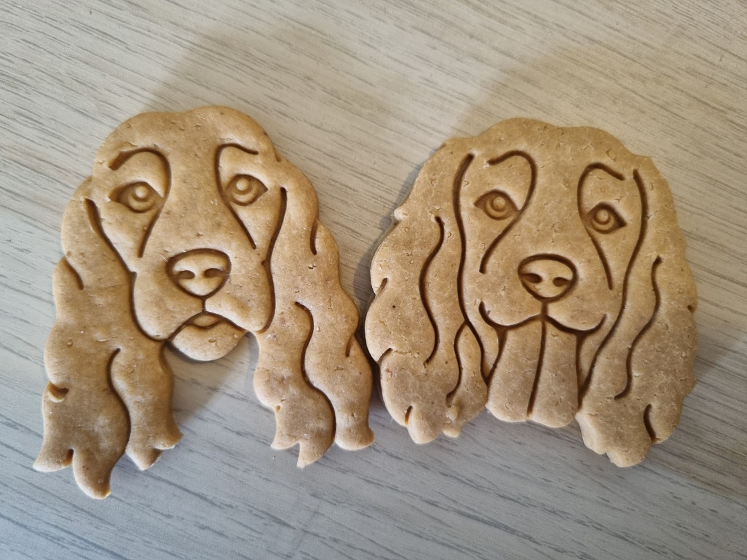 Spaniel Dog Gift, Working Cocker Treats, Springer Spaniel Gift, Cocker ...