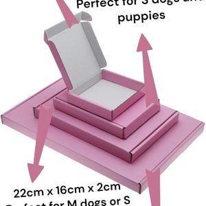 Dog Treat Box, (MEATY) Specialty Gourmet Treats, Birthday, Gotcha Day ...