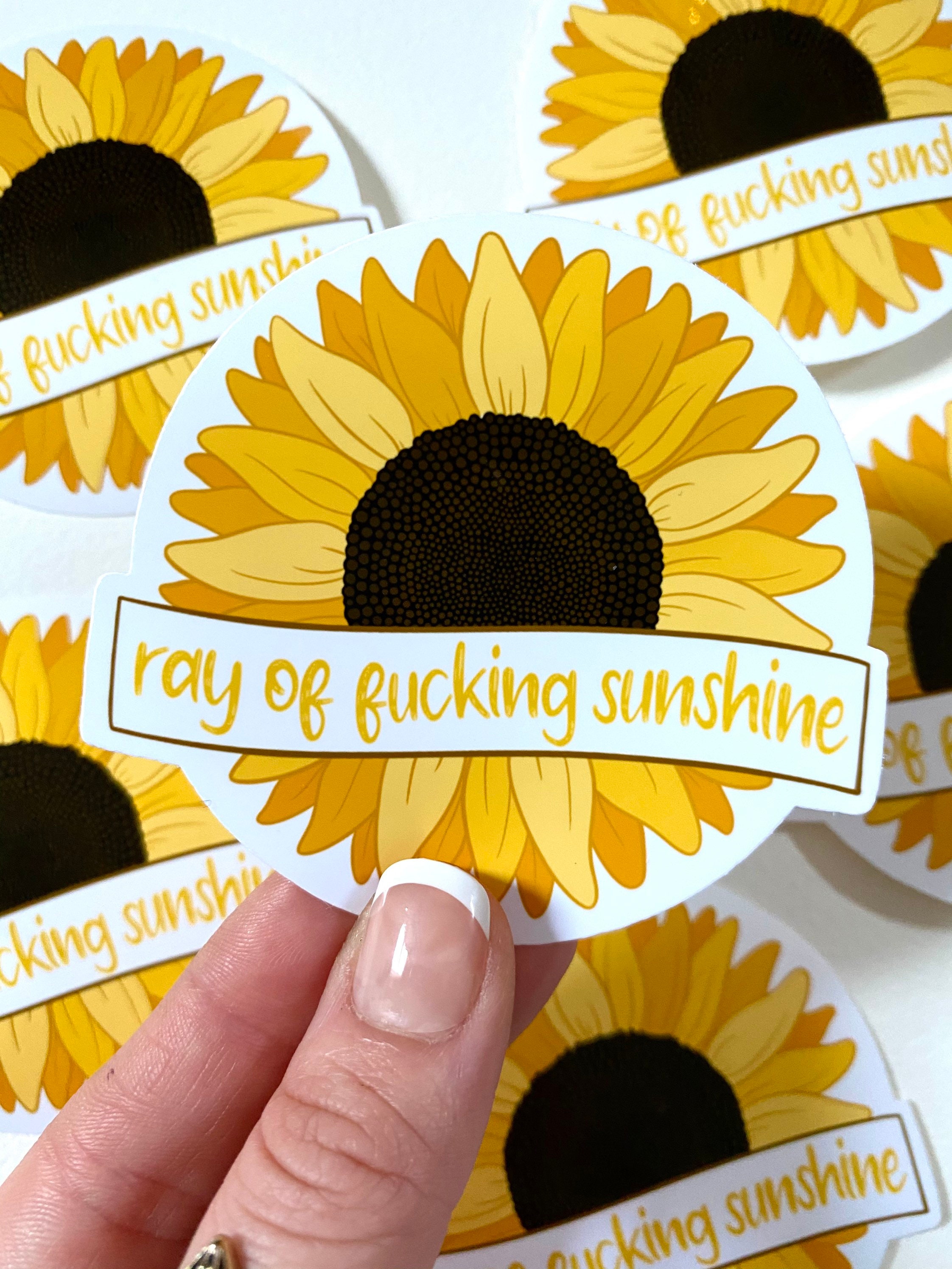 Ray Of Fucking Sunshine Sticker Etsy