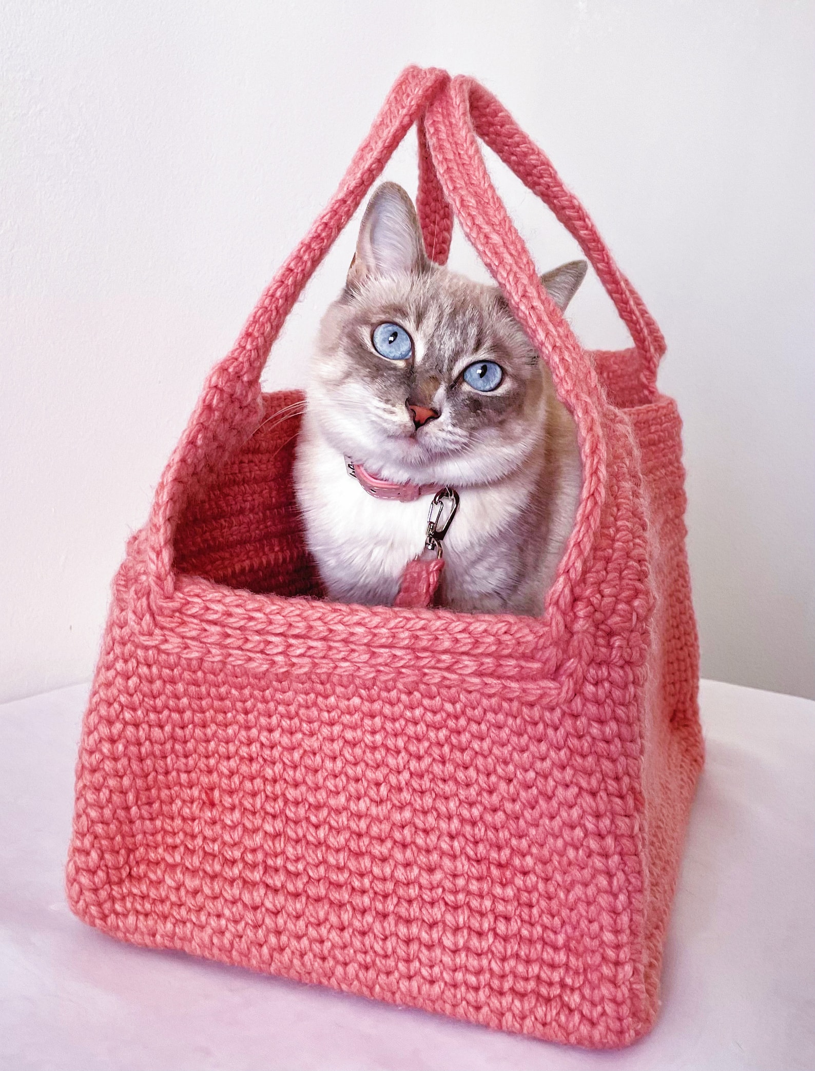 Dog&cat Carrier Bag Crochet Pattern - PDF File - Etsy