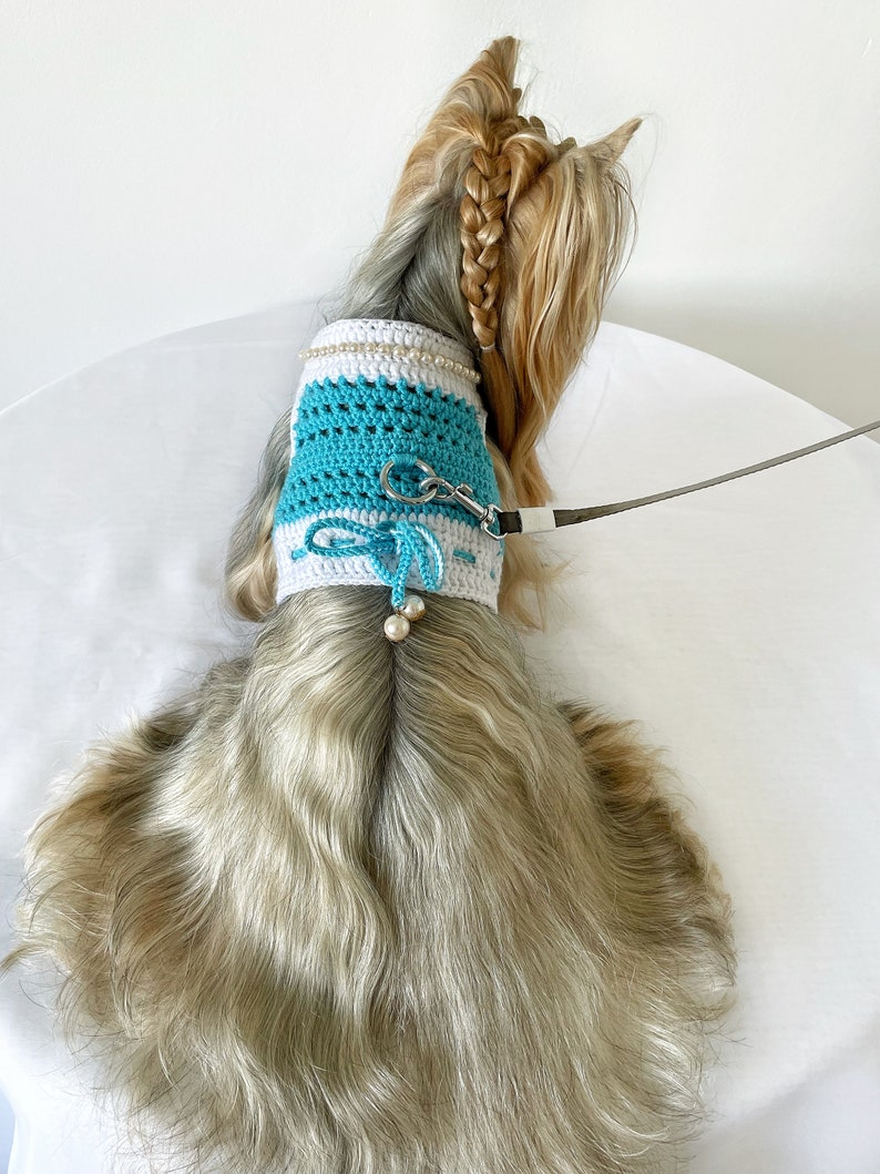 Crochet Dog Harness Pattern: Small Dog & Cat Vest DIY (PDF File) - Etsy