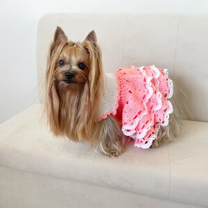 Crochet Dog Dress Pattern: Small Pet Sundress & Bolero (PDF File) - Etsy