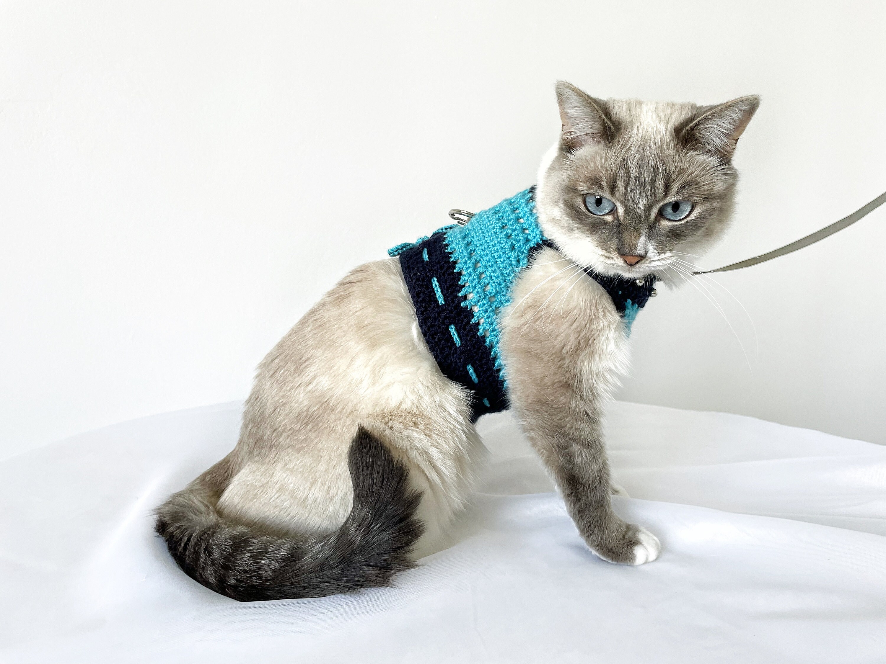 Crochet Dog Harness Pattern: Small Dog & Cat Vest DIY (PDF File) - Etsy