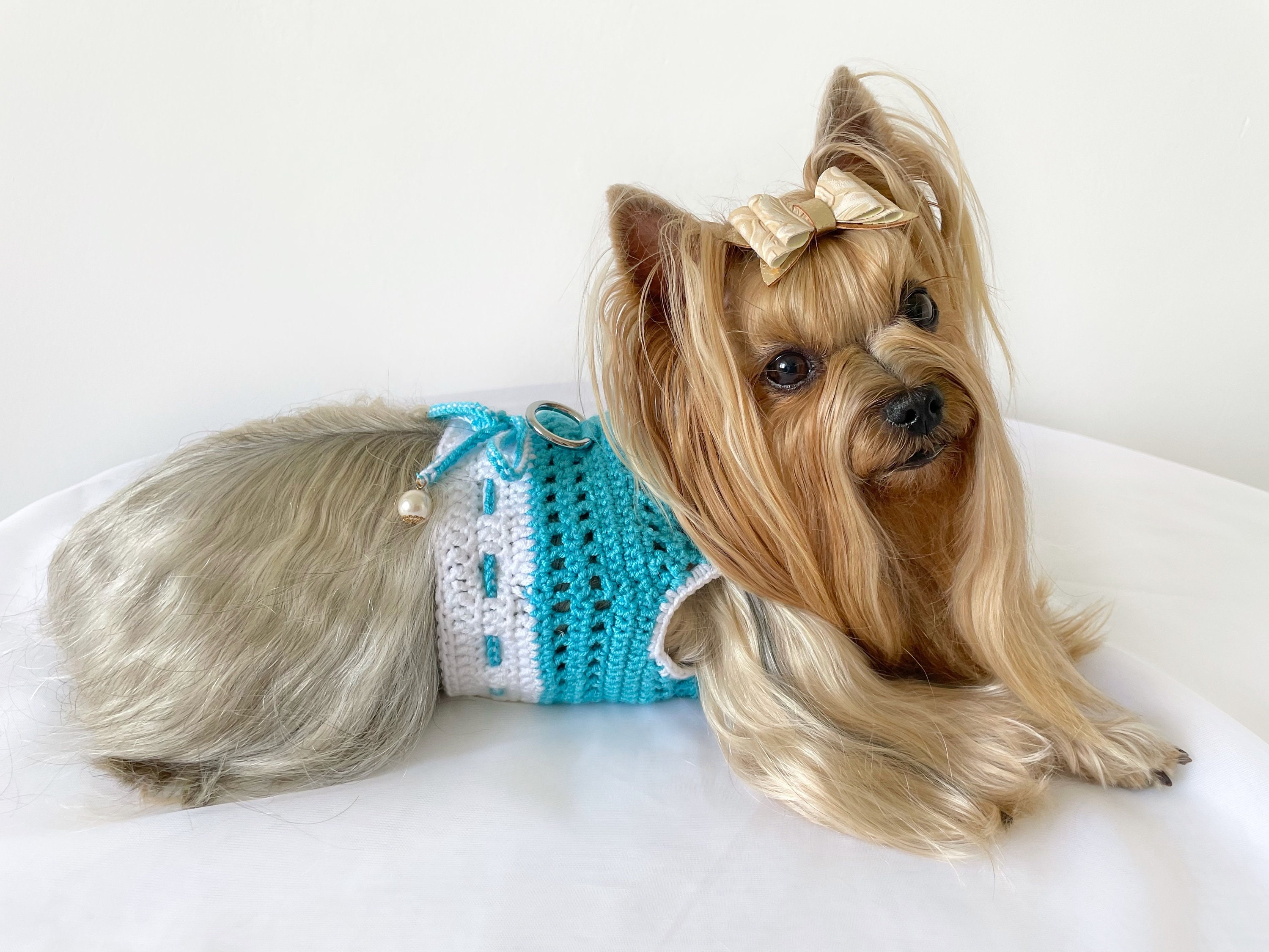 Crochet Dog Harness Pattern: Small Dog & Cat Vest DIY (PDF File) - Etsy