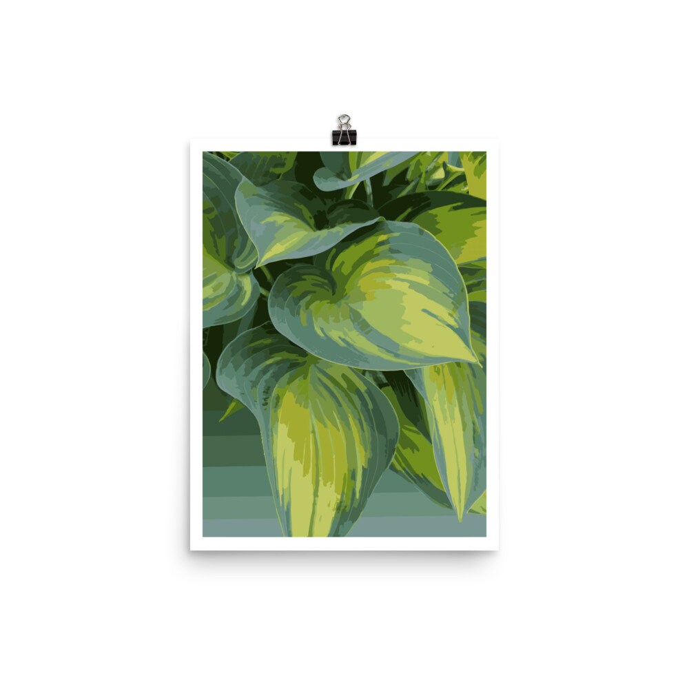 Hosta - Original Digital Painting - Etsy