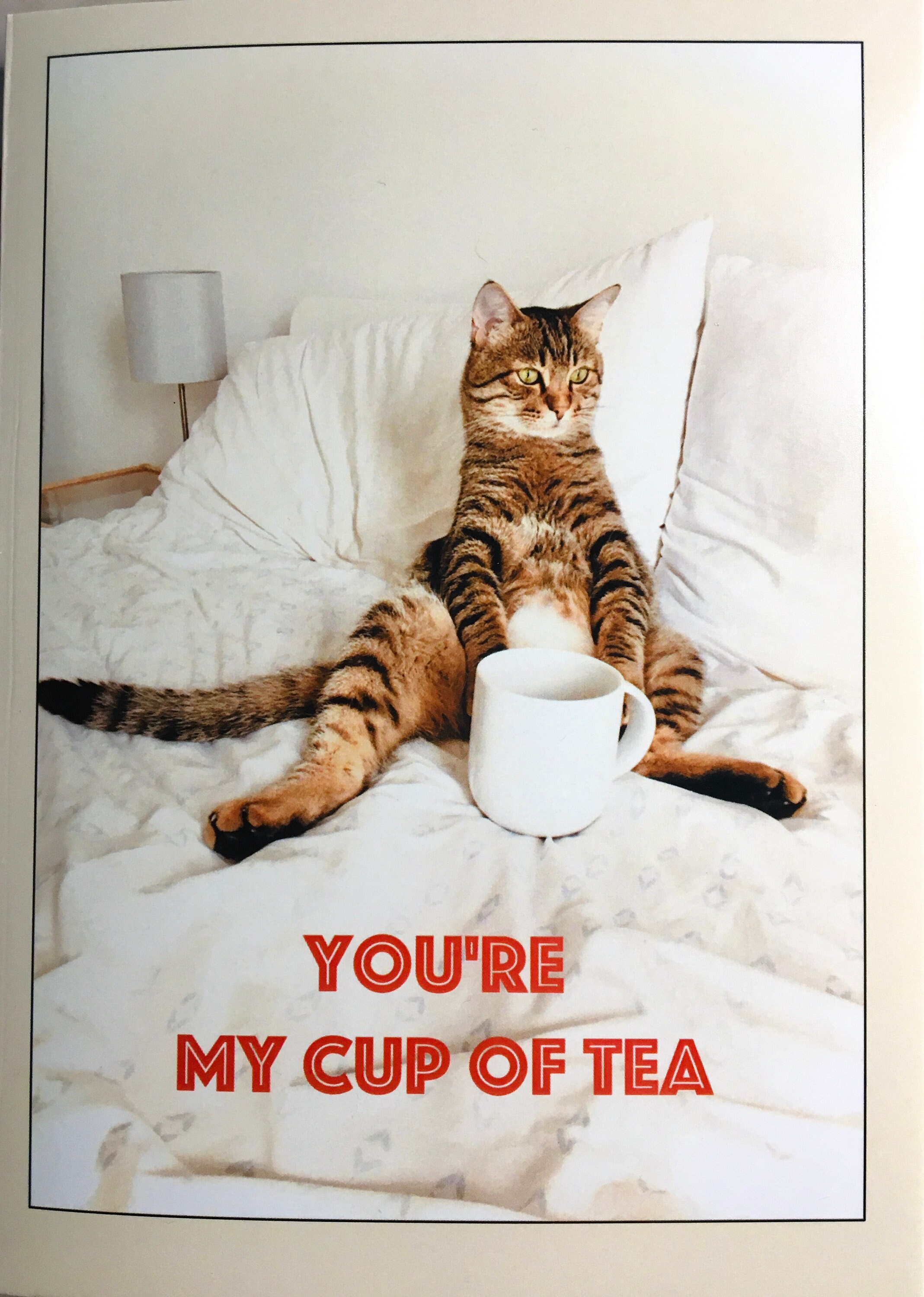 You're My Cup of Tea Greeting Card Valentines Day - Etsy UK
