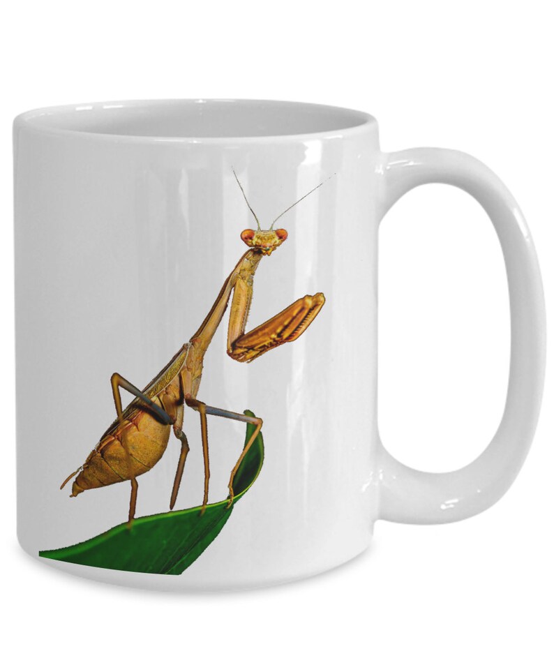 Praying Mantis Mug Printed on Both Sides - Etsy