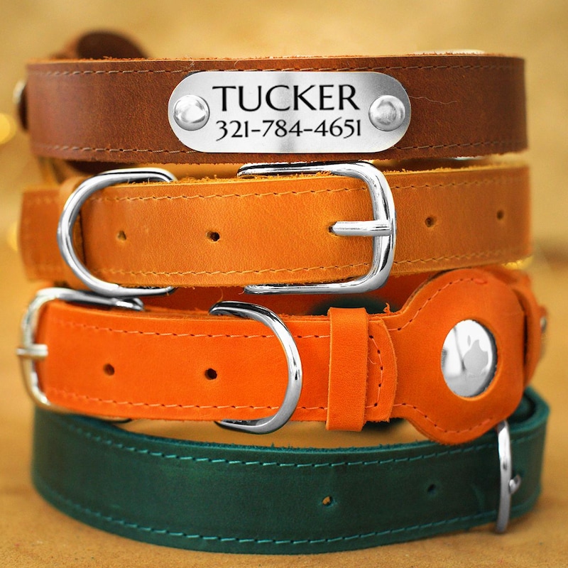 Name Plate Dog Harness - Etsy