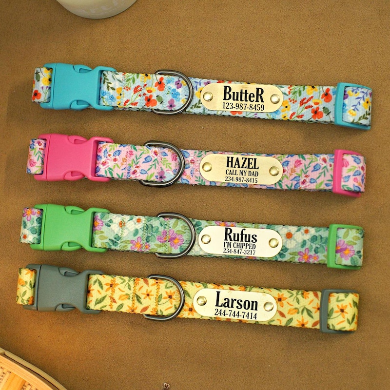 Colorful Dog Collar - Etsy