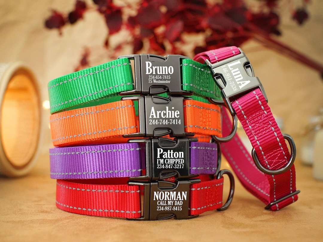 Personalized Dog Collar Engraved Buckle - Night Safety Dog Collars for ...