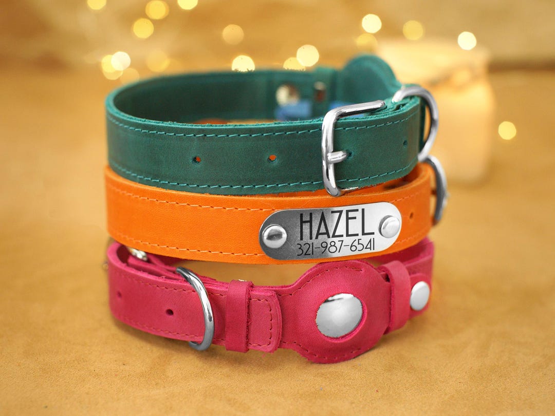 Personalized Leather Dog Collar With AirTag Holder - Safety Tracking ...