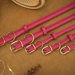 Rolled Leather Dog Collar With Bead ID Tag - Personalized Dog Collars ...