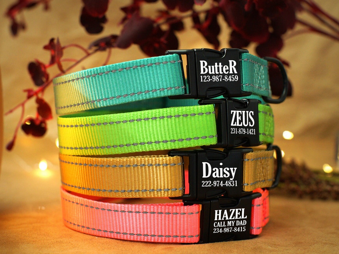 Multiple Color Nylon Reflective Personalized Dog Collar With Engraved ...