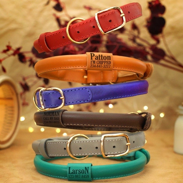 Rope Dog Id Collars - Etsy