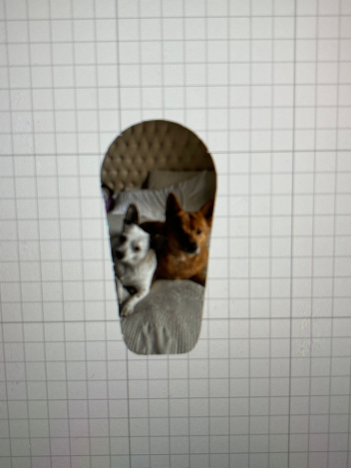 Dexcom G6 Custom Transmitter Sticker - Etsy