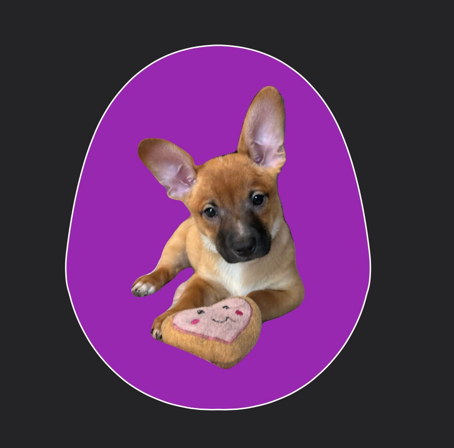 Design Your Dexcom G7 Custom Transmitter Sticker - Etsy