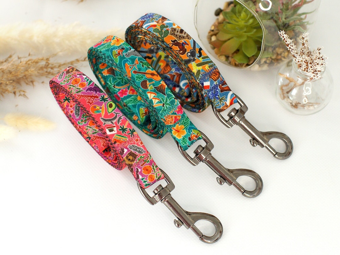 Personalized Dog Leash, Custom Dog Leashes With Leather ID Tag & Metal ...
